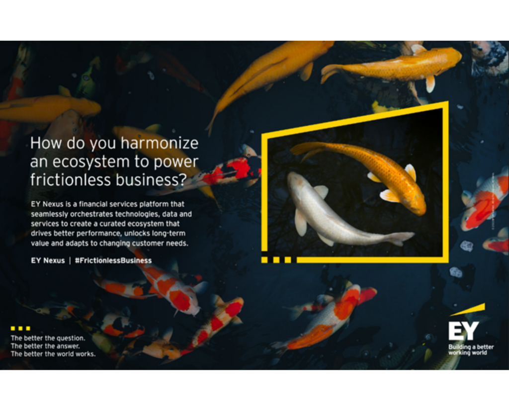 EY Nexus for Insurance - Member Session - Insurtech Australia